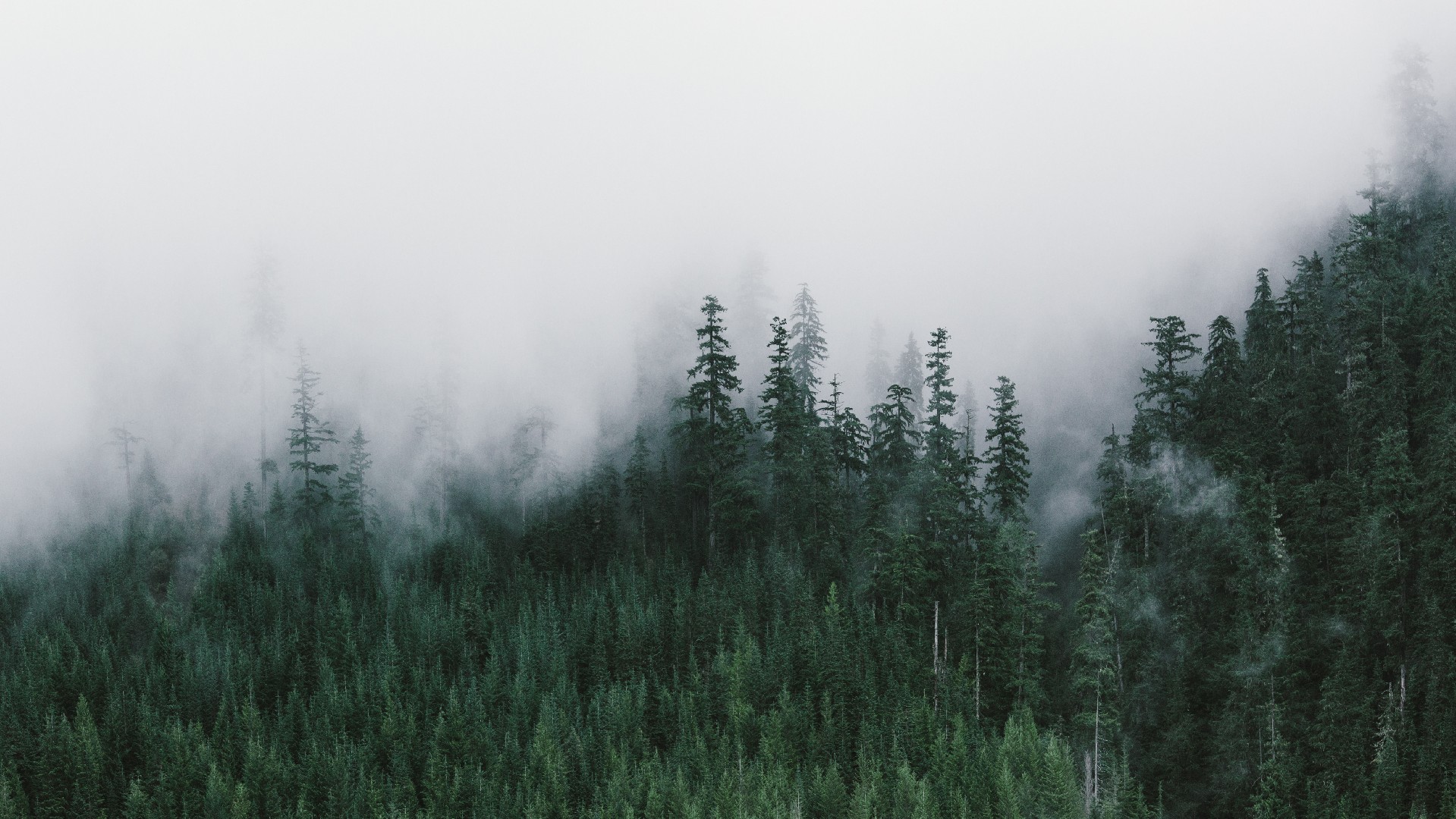 AOJU Nutrition/澳巨营养